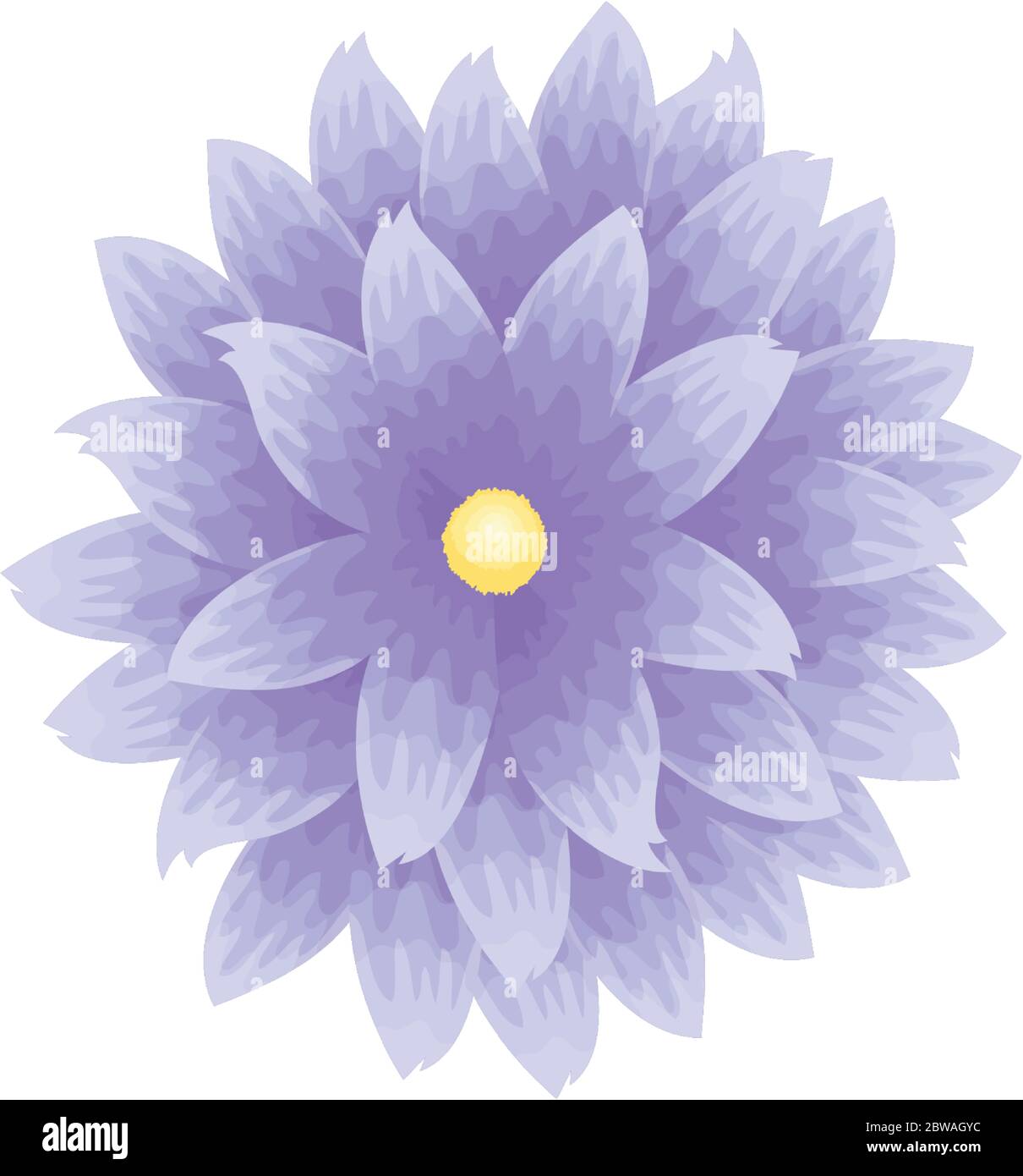 flower purple color, spring concept on white background Stock Vector ...
