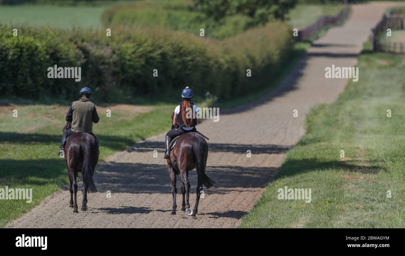 Ed de giles stables on gallops hi-res stock photography and images - Alamy