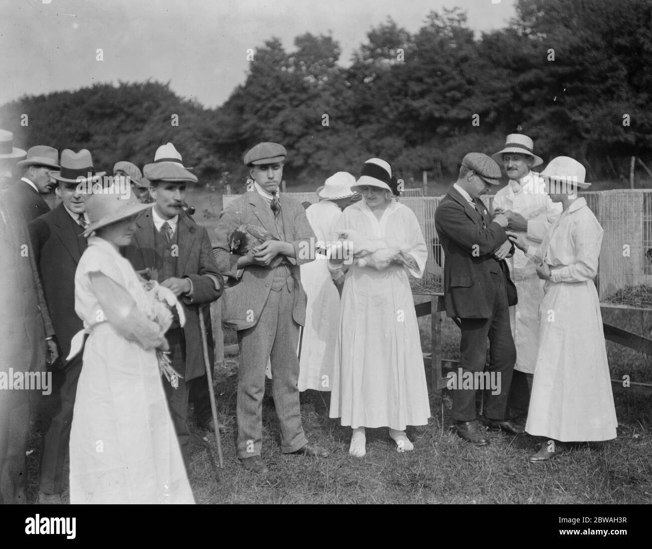 Poultry farming for blinded soldiers and sailors at Fawkham , Kent ...