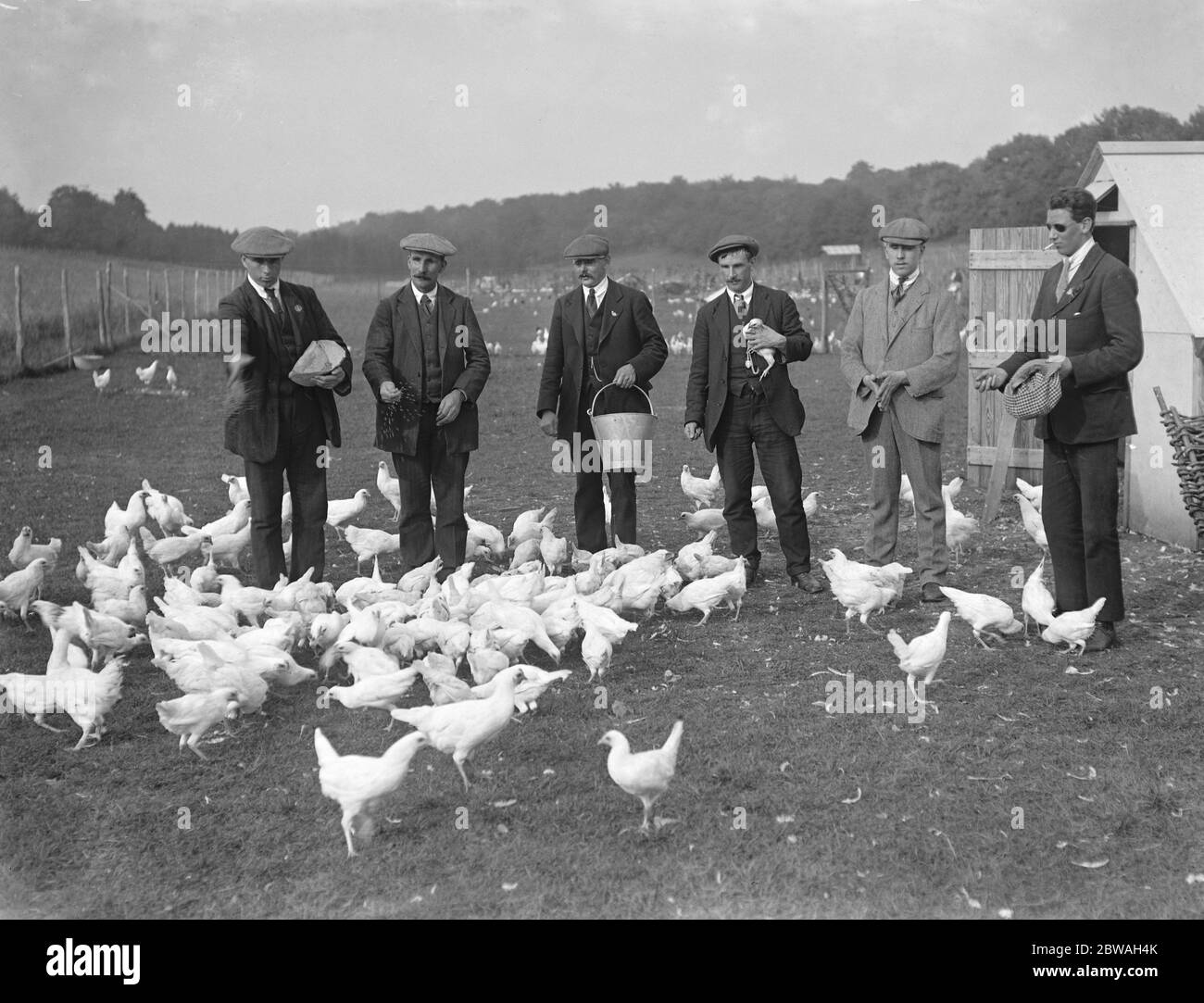 Poultry farming for blinded soldiers and sailors at Fawkham , Kent ...