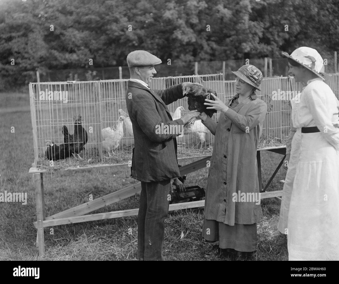 Poultry farming for blinded soldiers and sailors at Fawkham , Kent ...