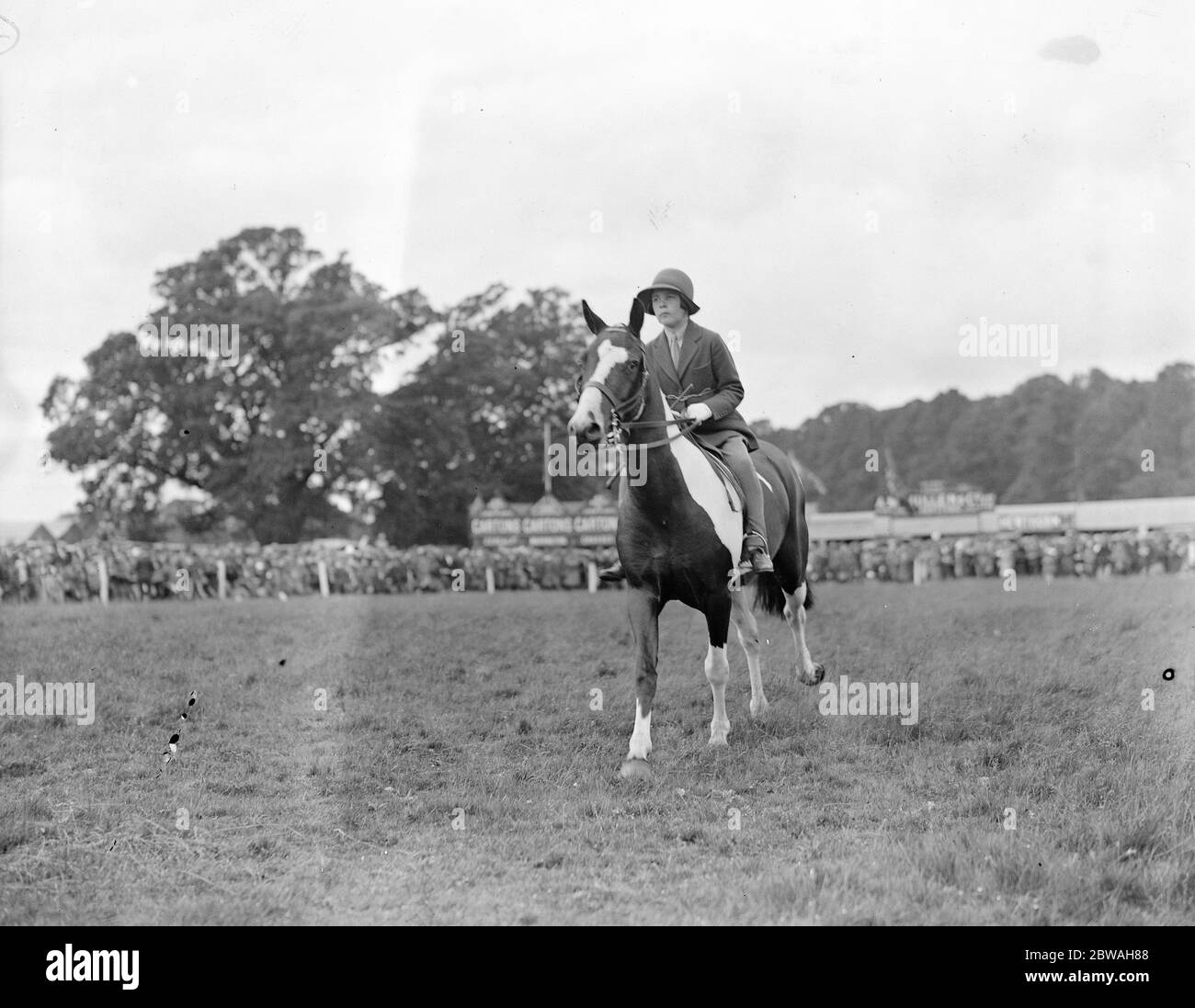 Pony skewball hi-res stock photography and images - Alamy