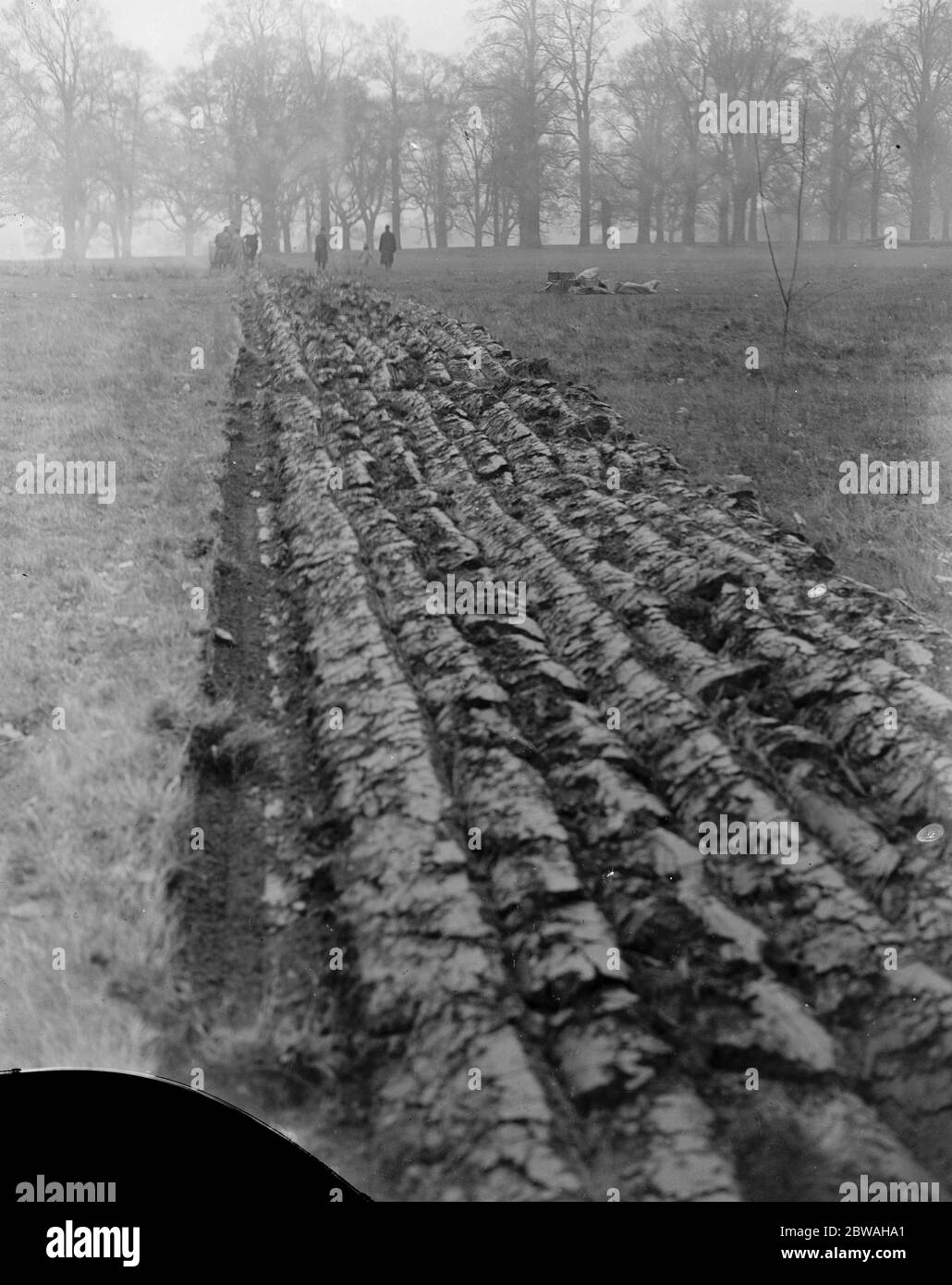 Motor plough at work in Richmond Park January 1917 Stock Photo - Alamy