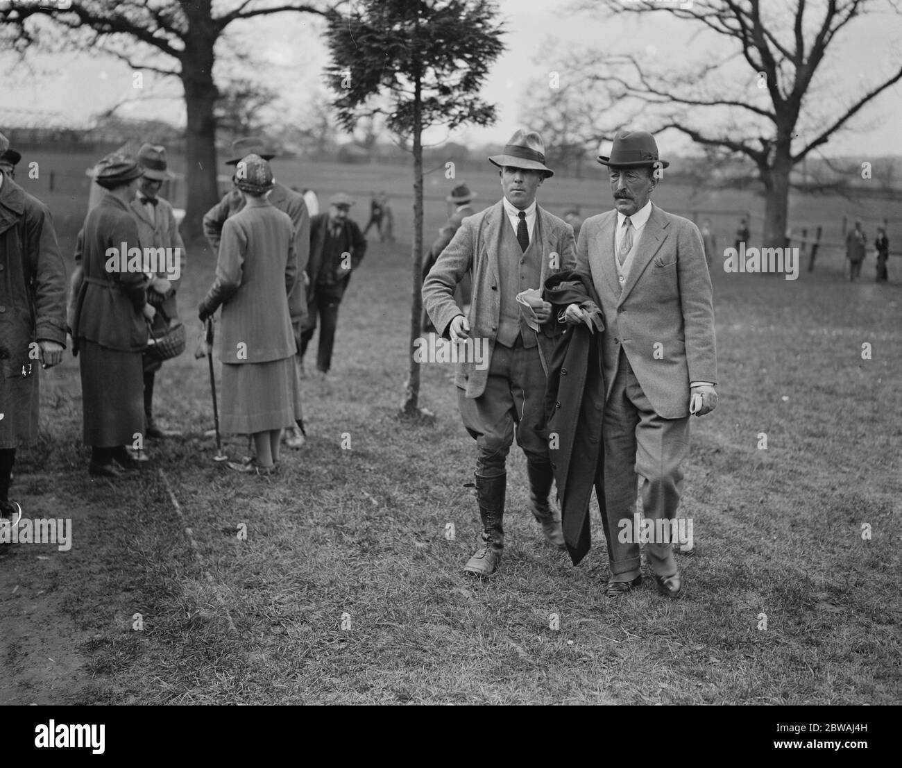 1920s cattle hi-res stock photography and images - Alamy