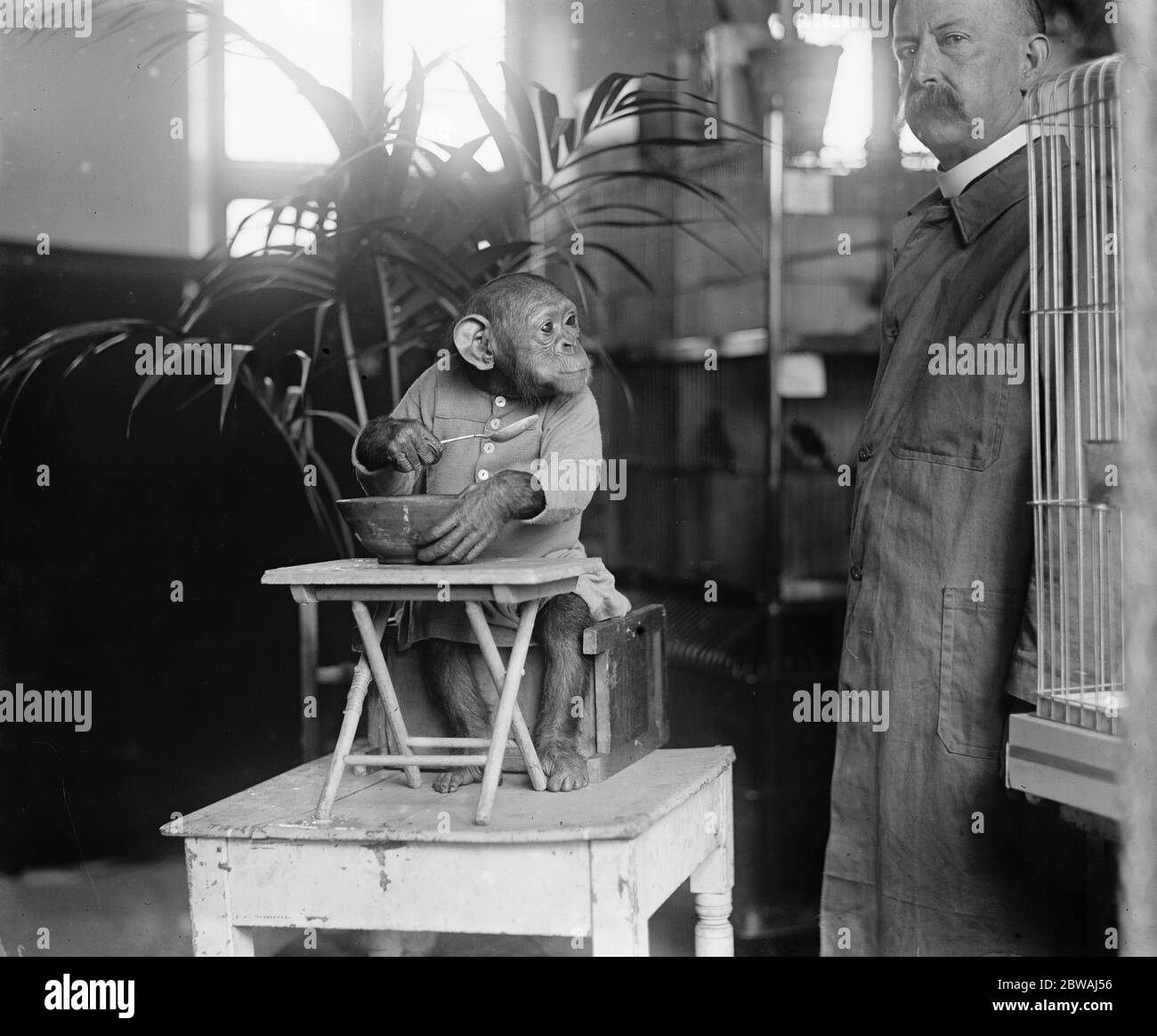 John willie hi-res stock photography and images - Alamy