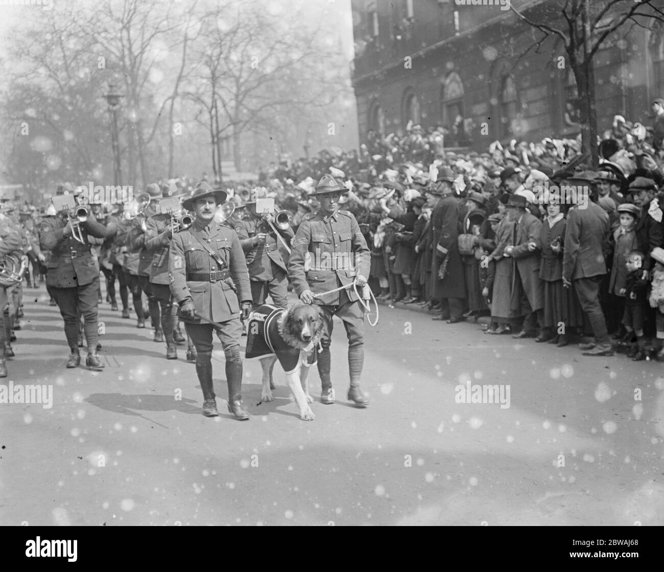 ANZAC Day in London Billow the mascot of the New Zealanders - Scenes in ...