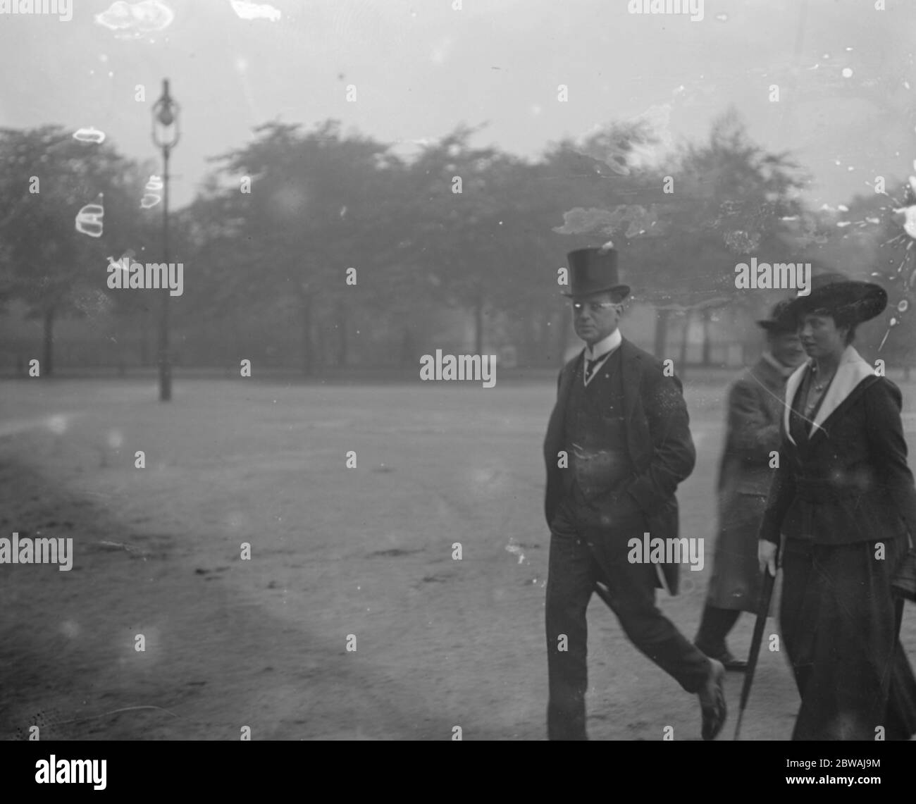 Lady Primrose Potter Daughter at Jake Spragg blog