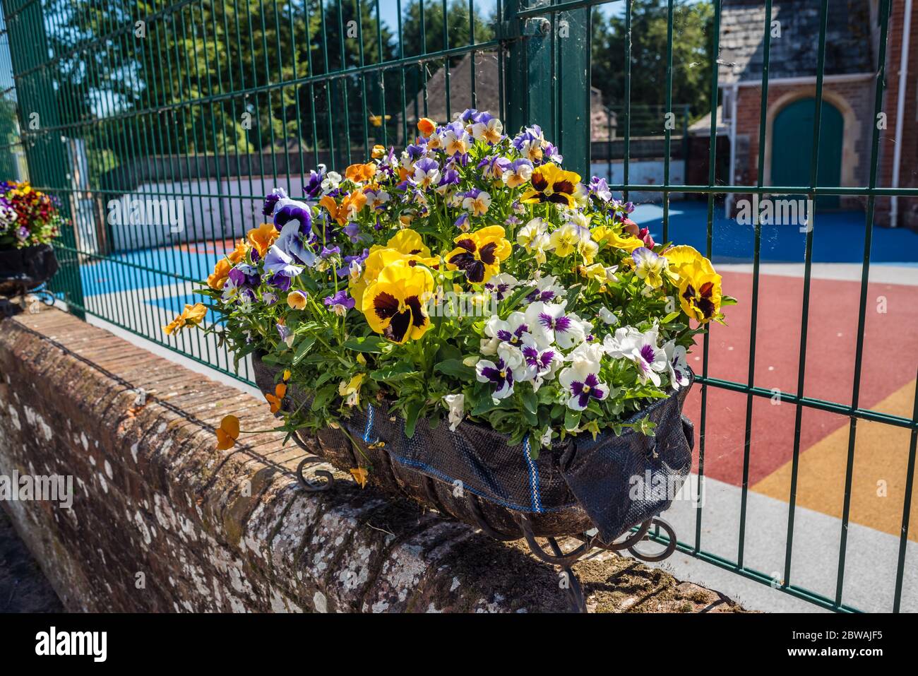 Britain in Bloom Competition Display Stock Photo - Alamy