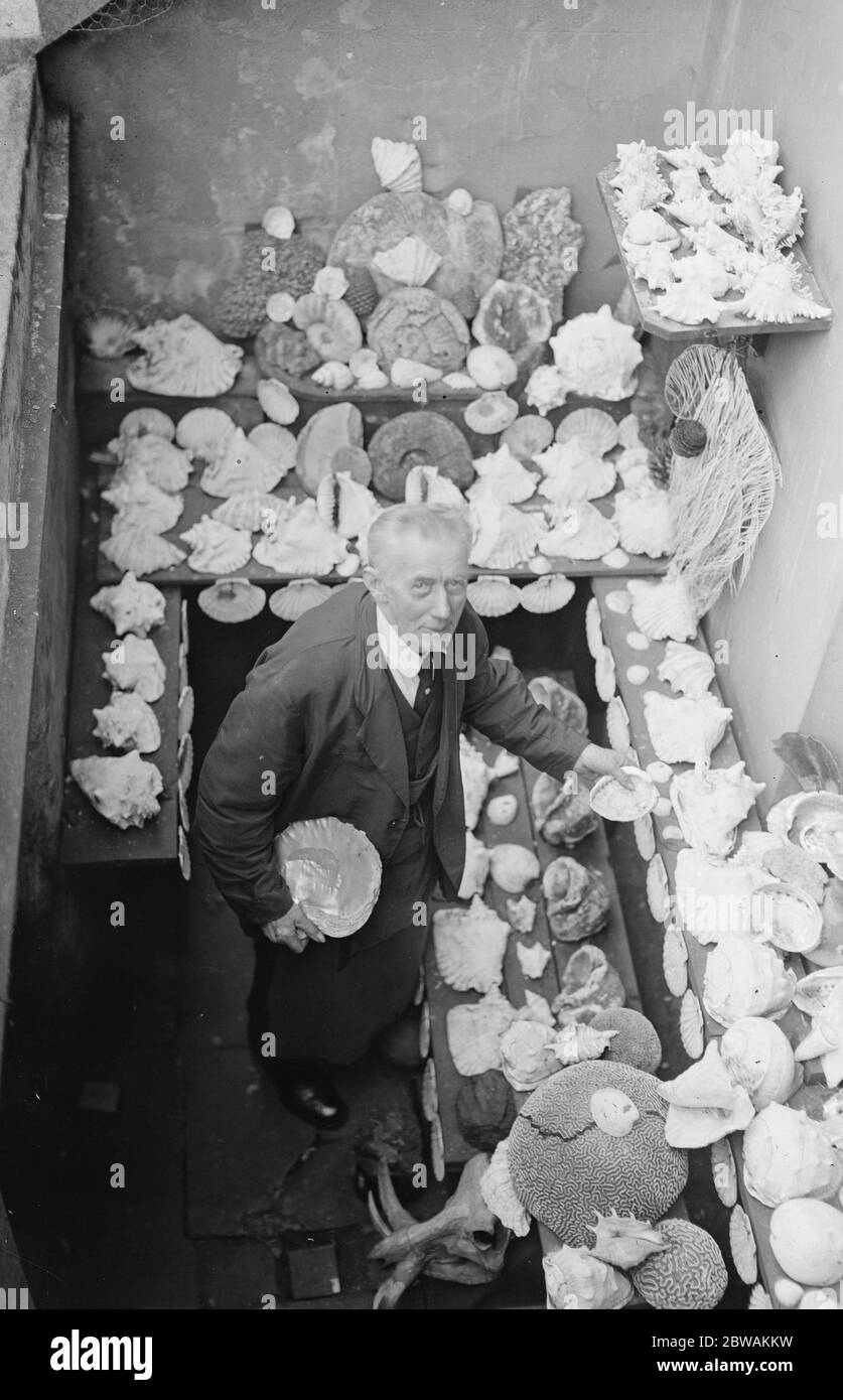 A strange hobby Sea shells from all over the world . Many of them ...