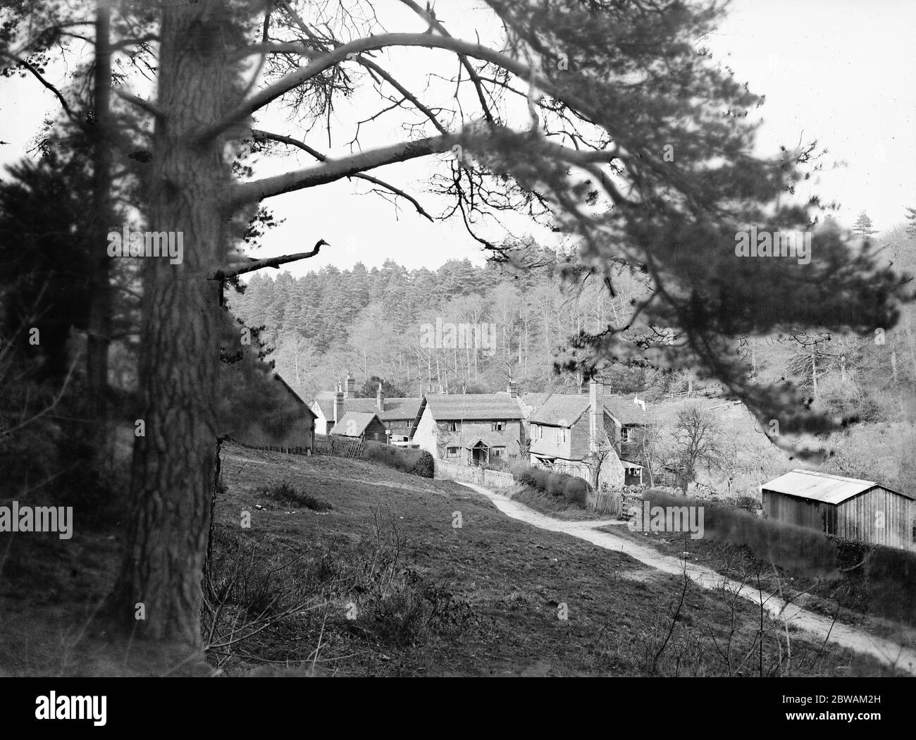 Friday Street , Surrey Stock Photo - Alamy
