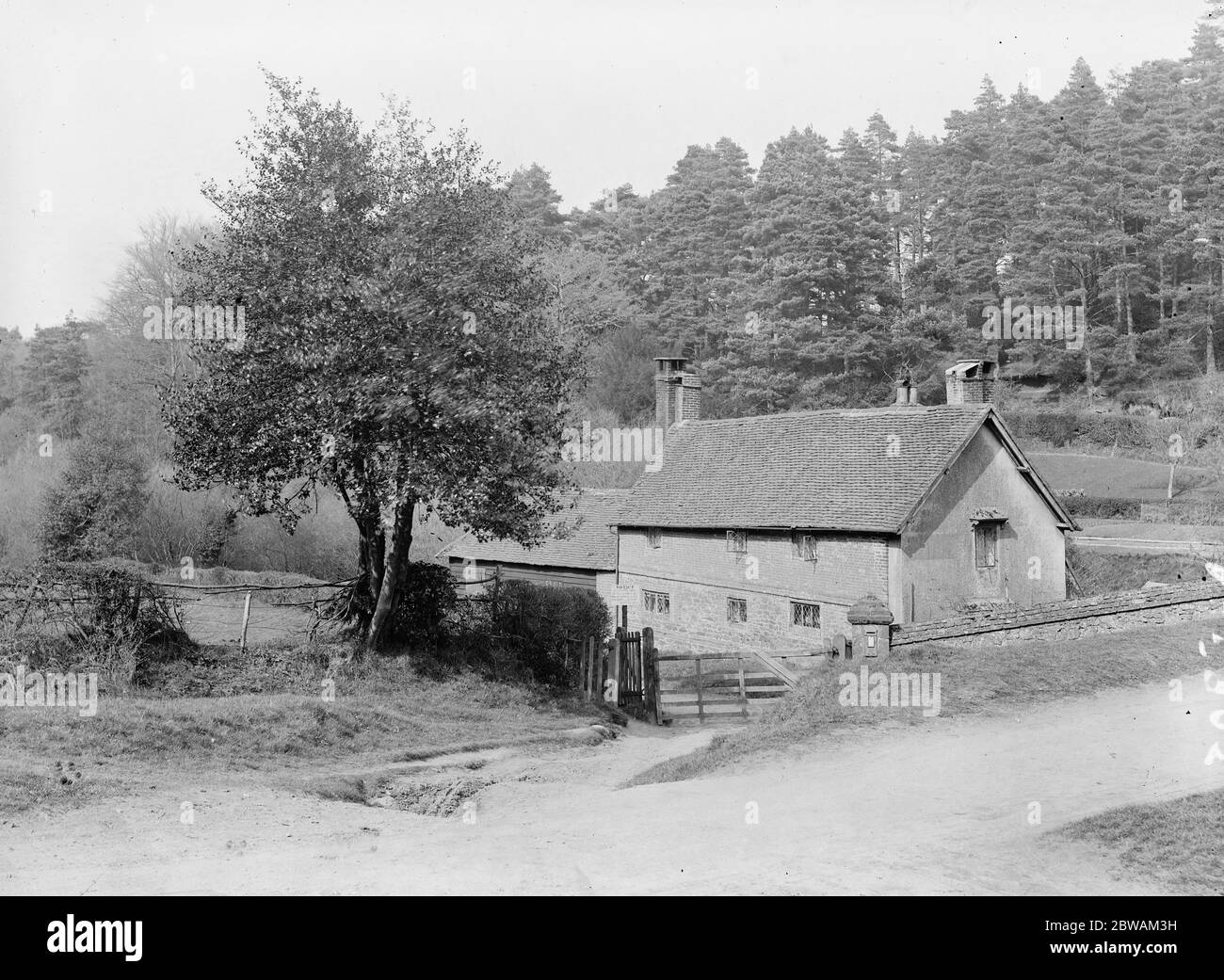 Friday Street , Surrey Stock Photo - Alamy