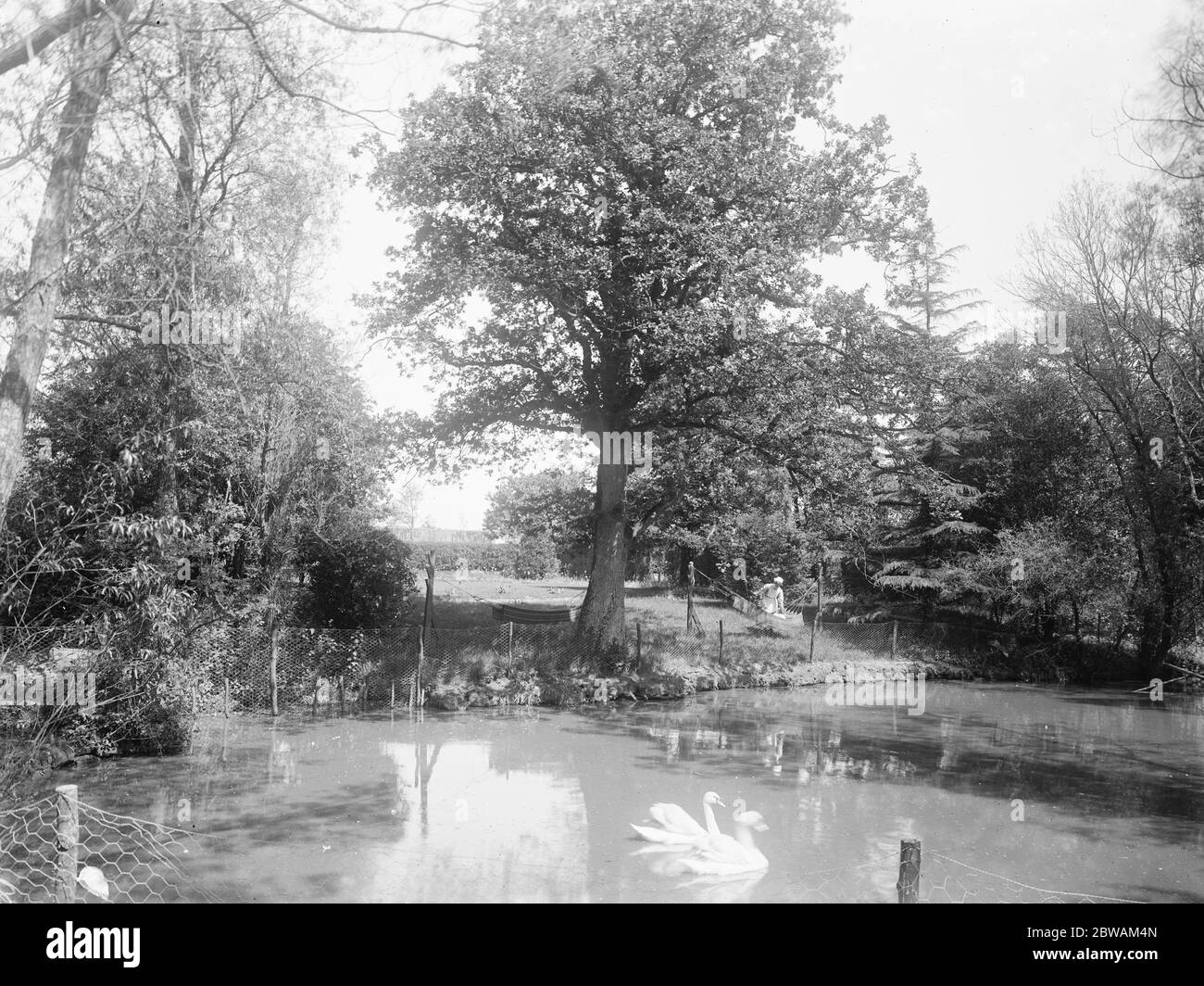 Botches hi-res stock photography and images - Alamy