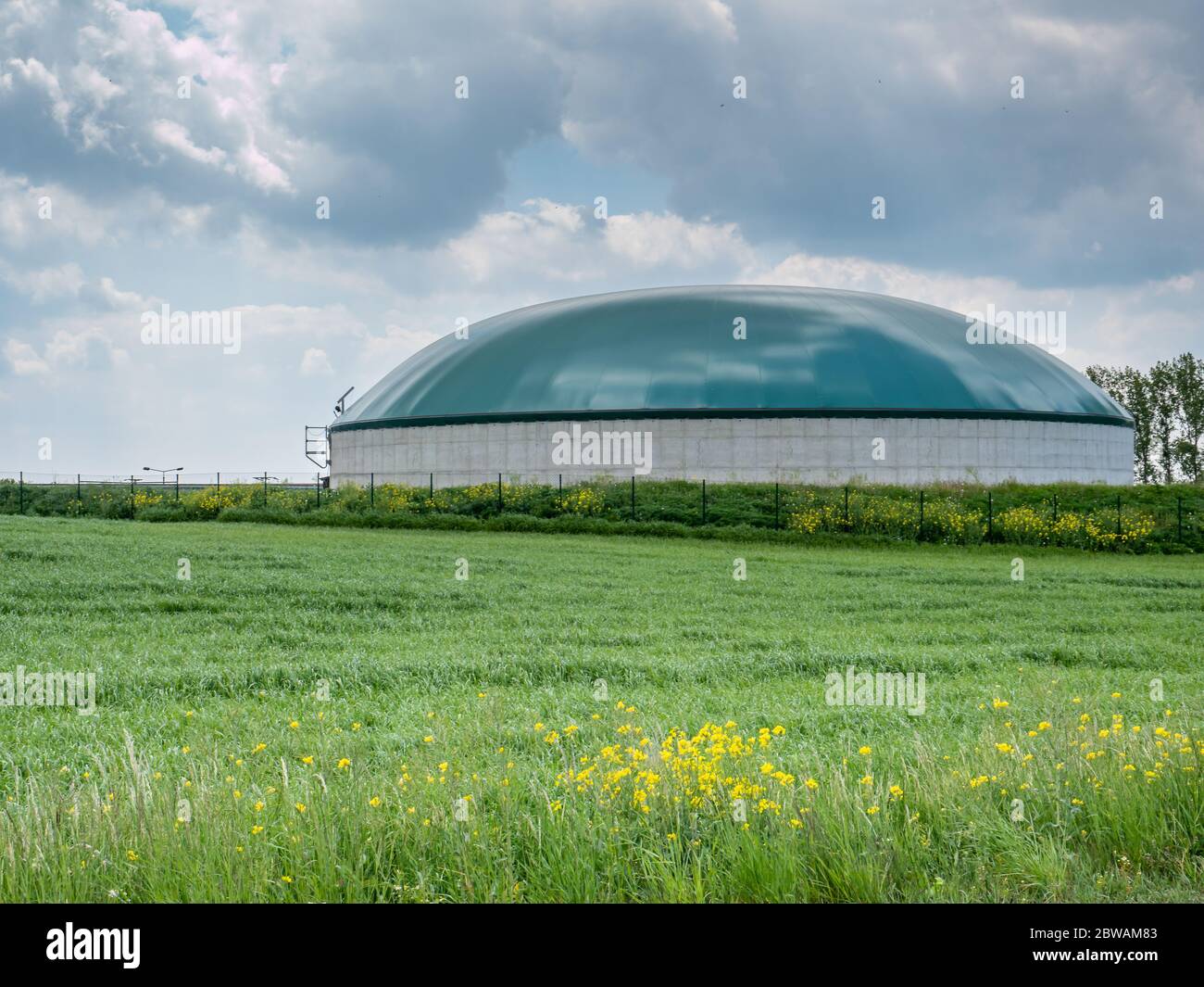 Biogas plant on a farm Stock Photo - Alamy