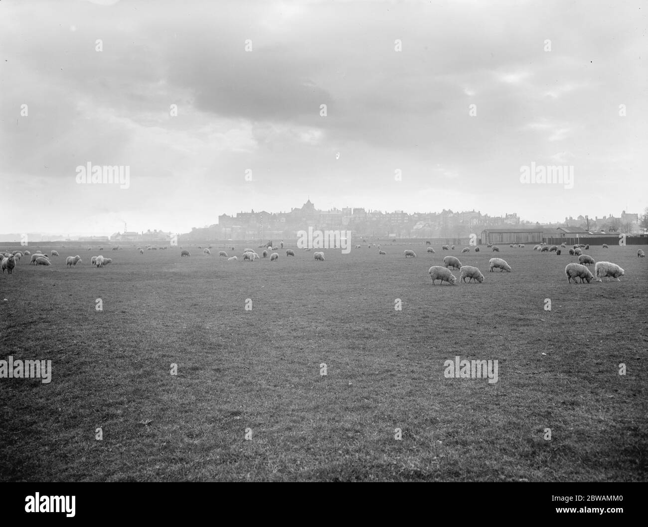 History of rye hi-res stock photography and images - Alamy