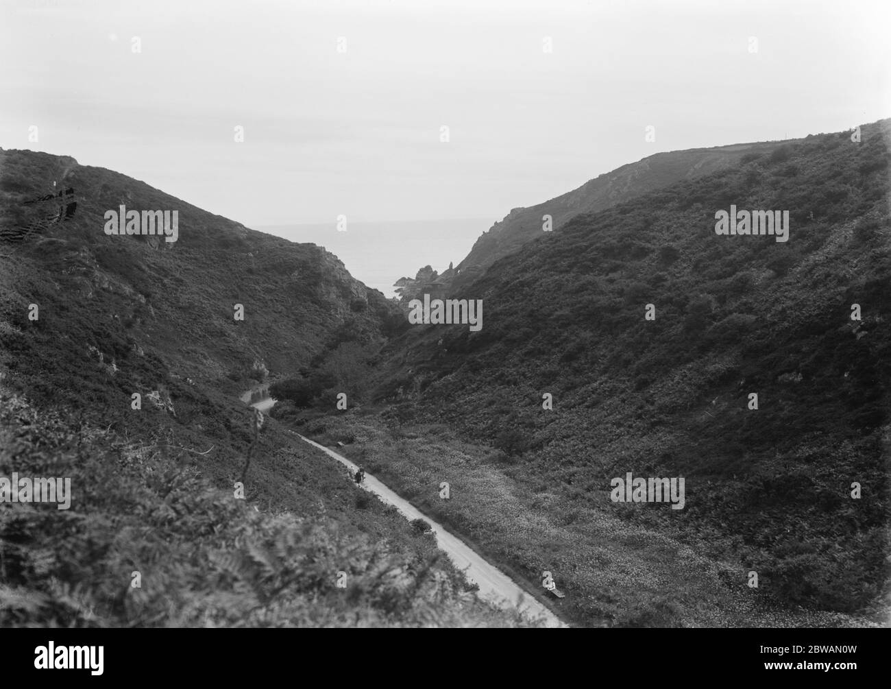 Bot hi-res stock photography and images - Alamy