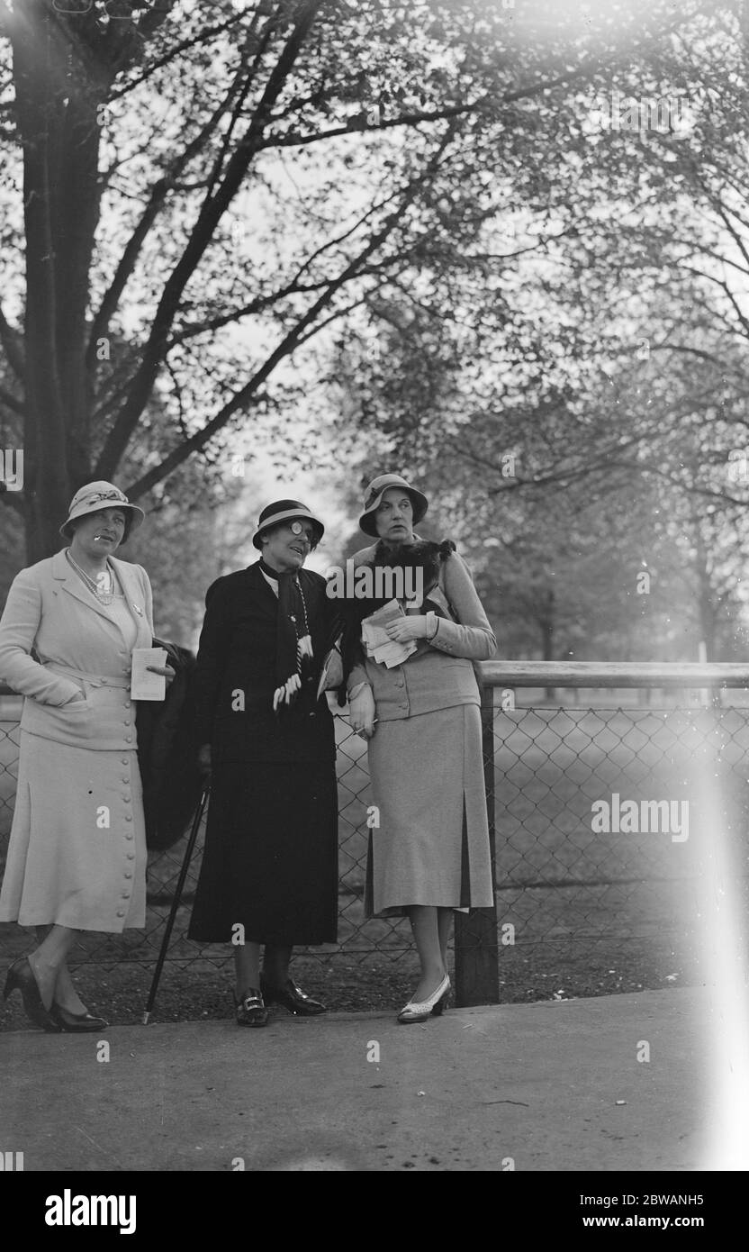 Miss bird Black and White Stock Photos & Images - Alamy