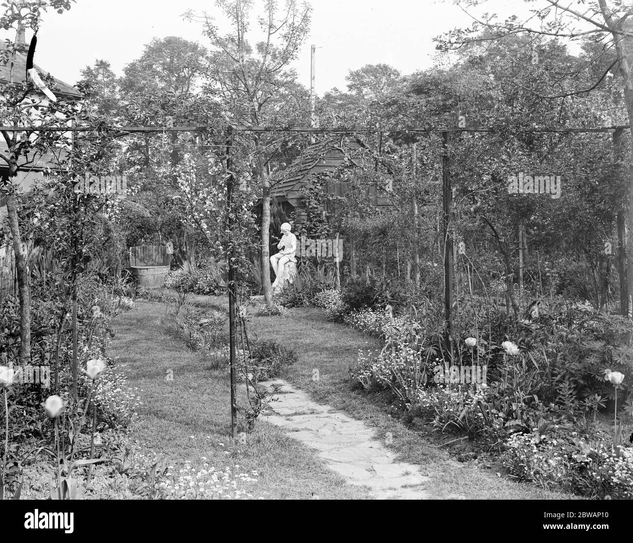 A beautiful looking garden Stock Photo - Alamy