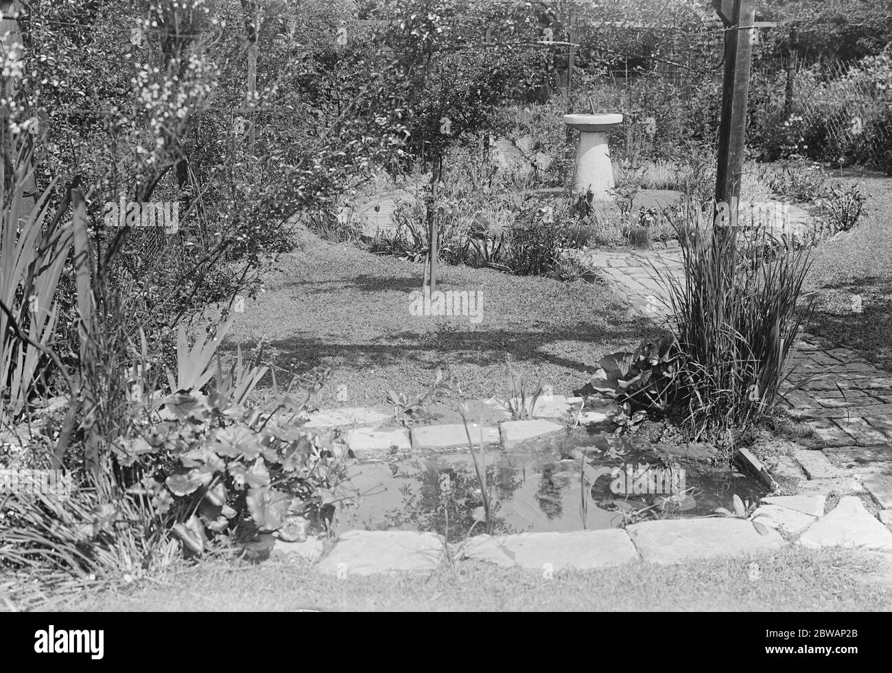 Garden looking Black and White Stock Photos & Images - Alamy