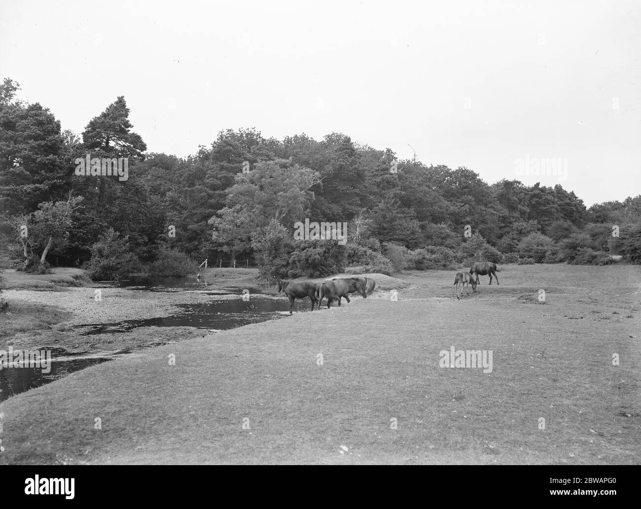 Brockenhurst . 1925 Stock Photo - Alamy