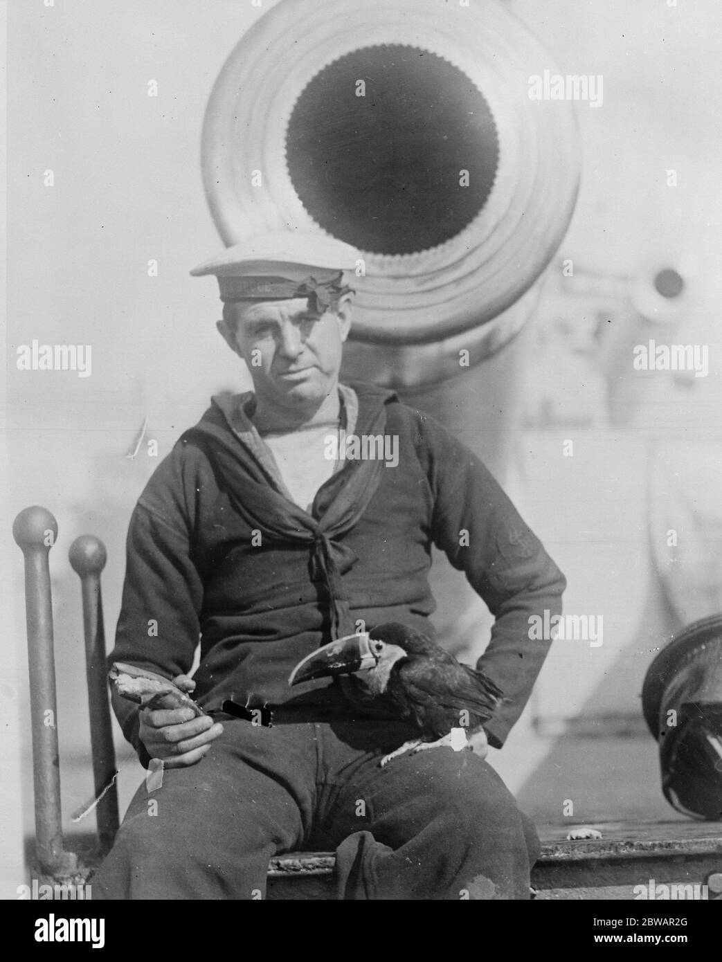 Archival mascot Black and White Stock Photos & Images - Alamy