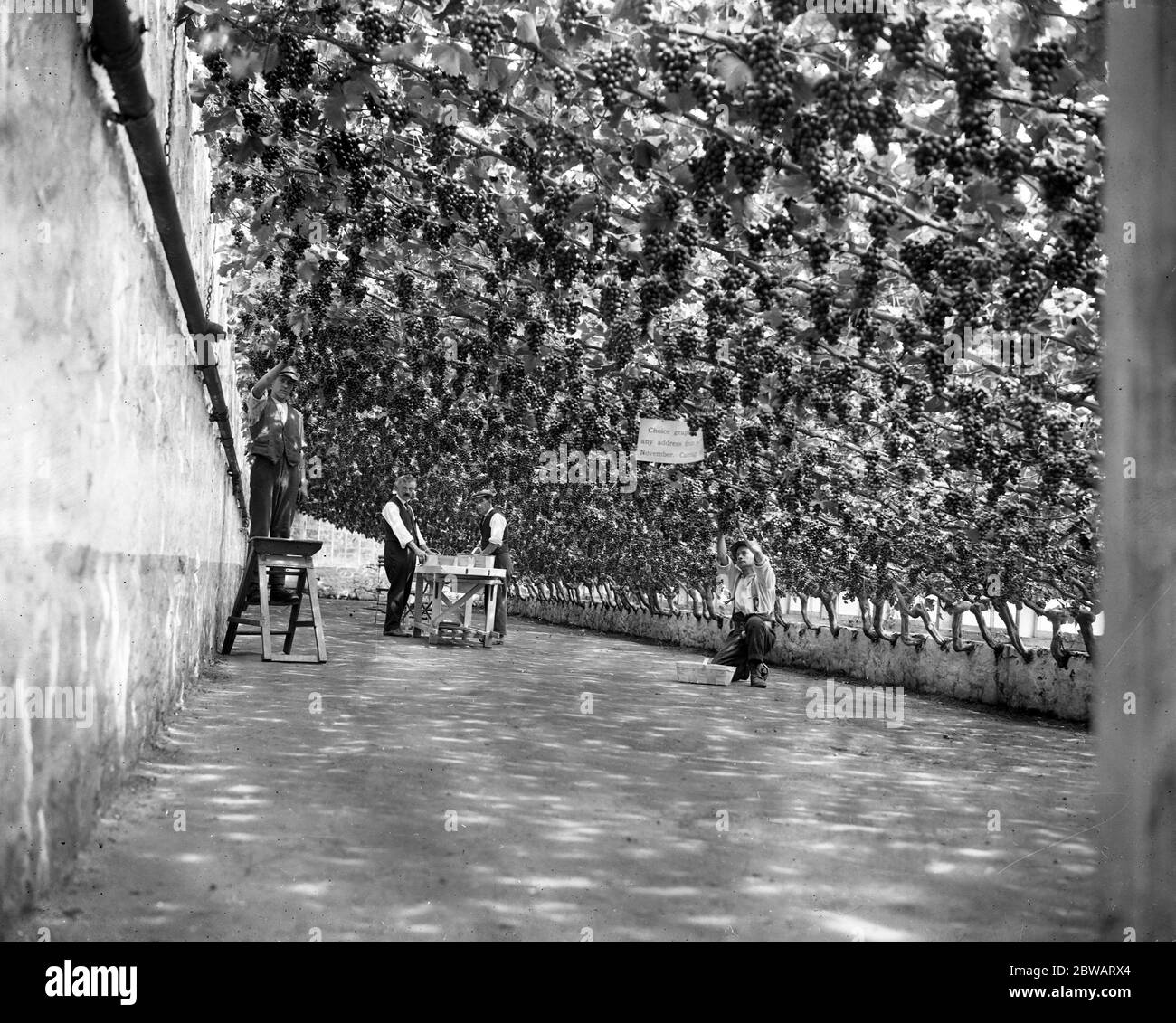 21 feet Black and White Stock Photos & Images - Alamy