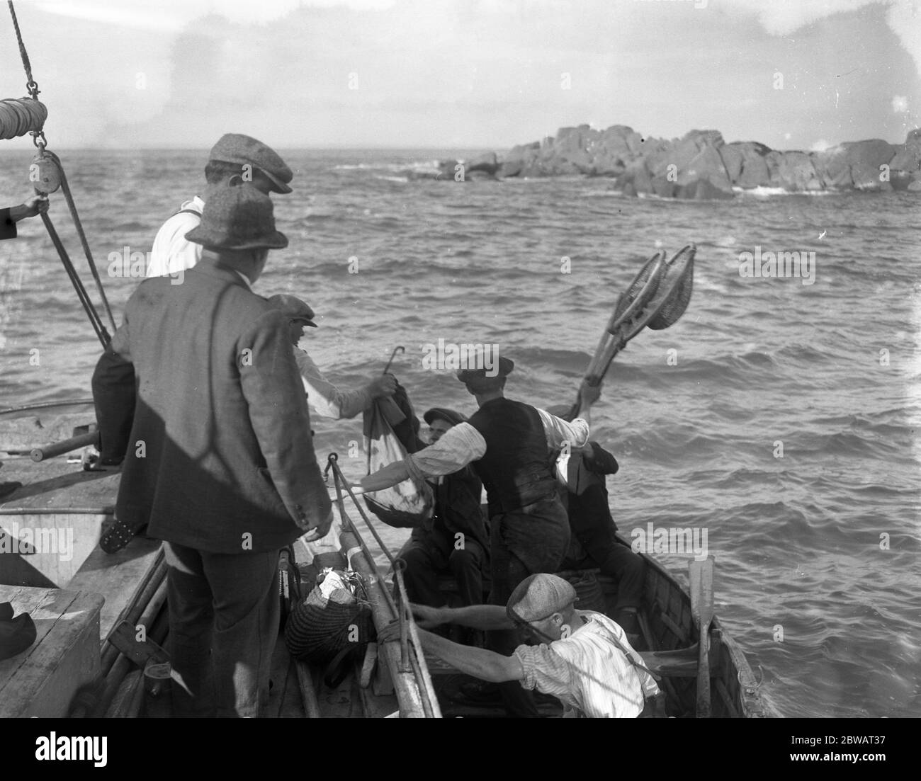 Abalone shellfish shell fish Black and White Stock Photos & Images - Alamy