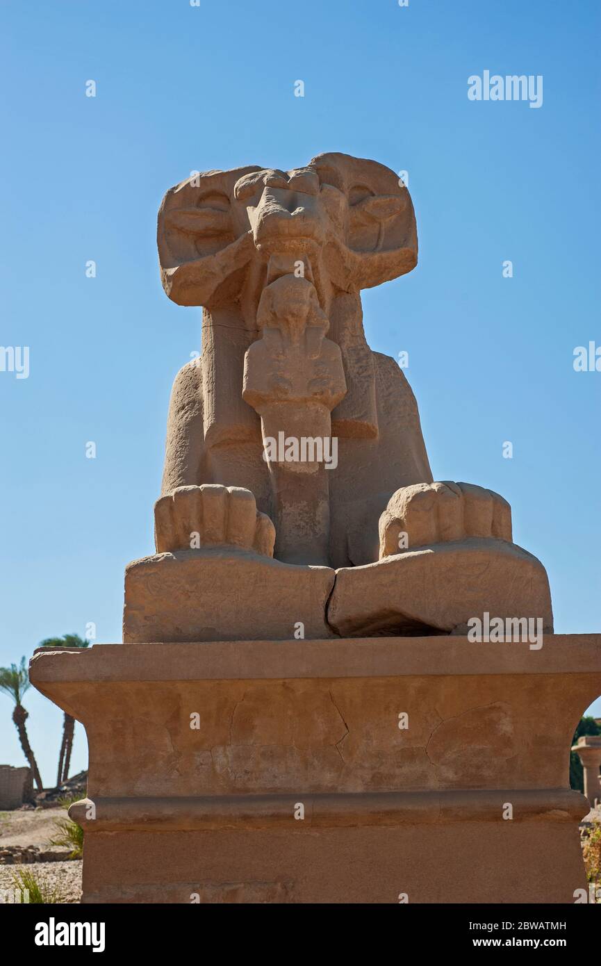 Ancient egyptian ram headed stone sphinx statue at Karnak temple in ...