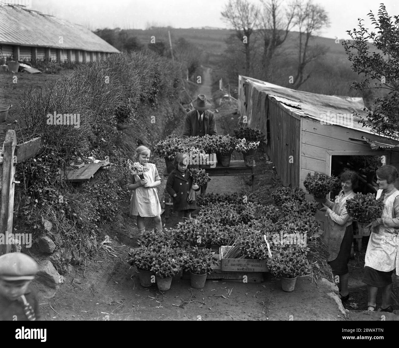 Basket gathering Black and White Stock Photos & Images - Alamy