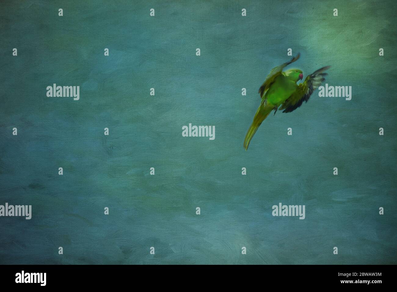 Flying bird illustration hi-res stock photography and images - Alamy