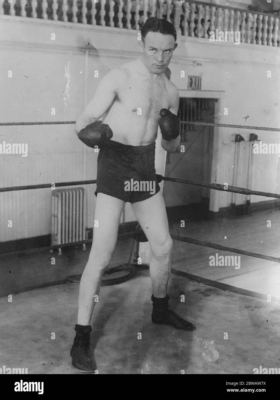 Boxer portrait 1920s hi-res stock photography and images - Alamy