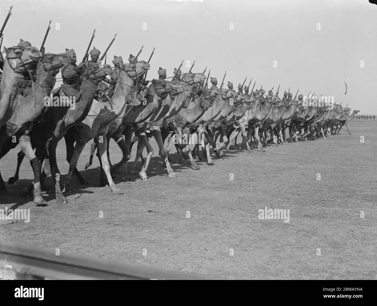 Camel corps hi-res stock photography and images - Alamy