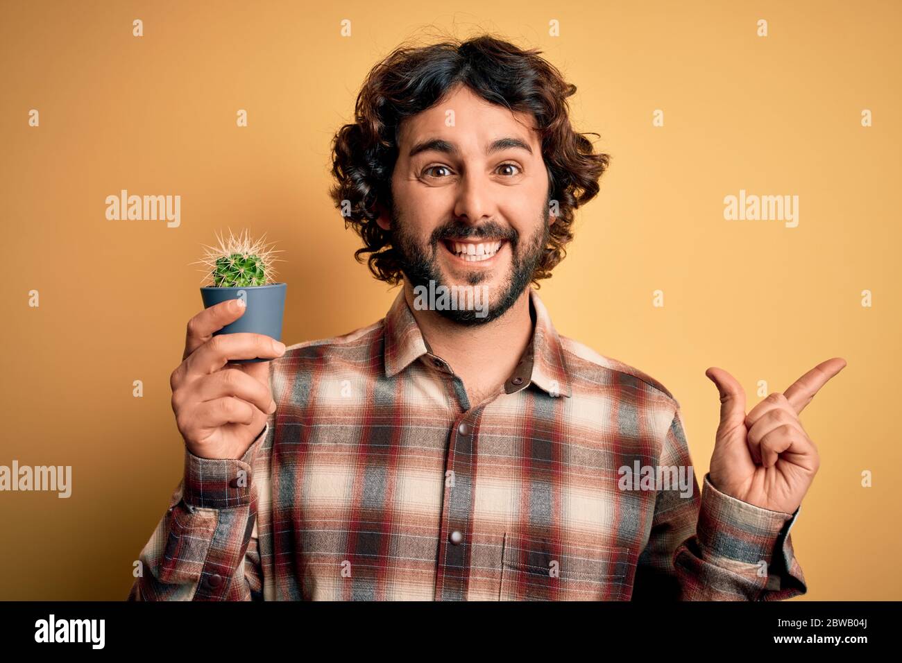 Young man with curly hair and beard holding small cactus plant pot over ...