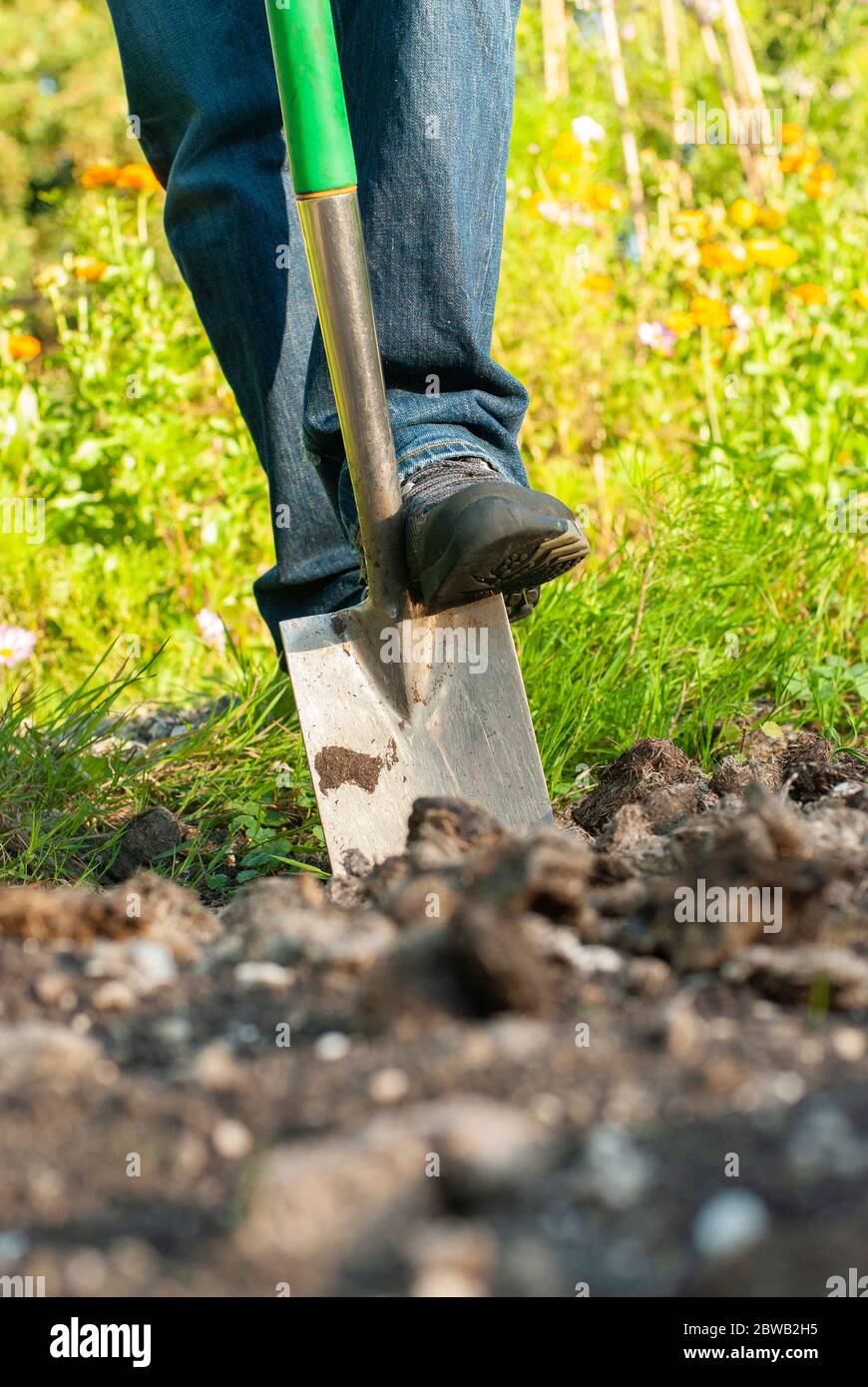 Rocky soil hi-res stock photography and images - Alamy