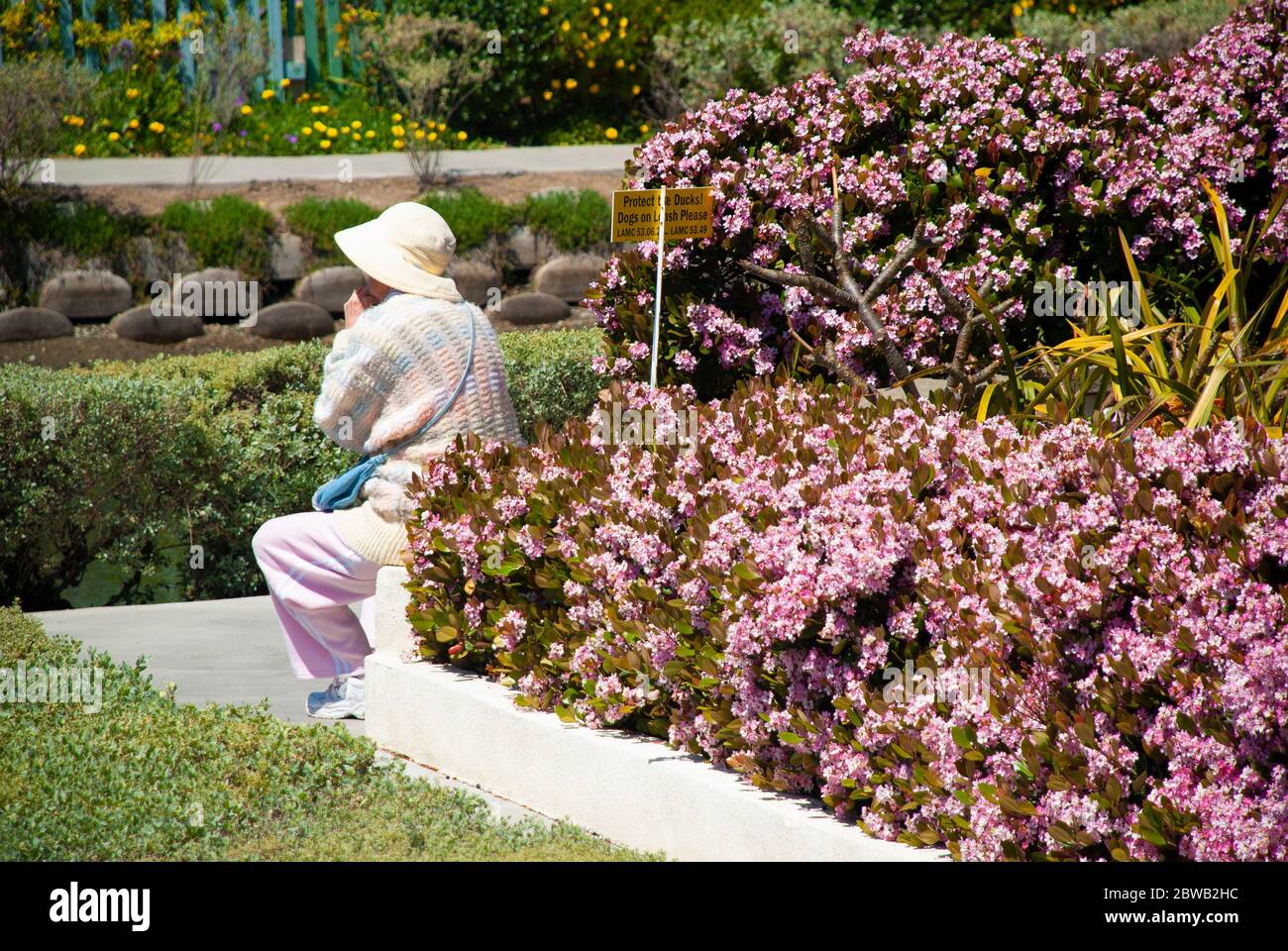 Elderly woman 70 80 90 years old hi-res stock photography and images ...