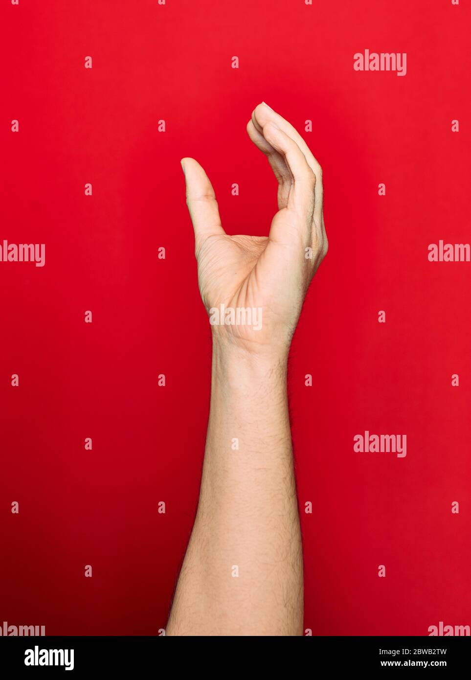 Beautiful hand of man showing fingers raised up doing catch gesture ...