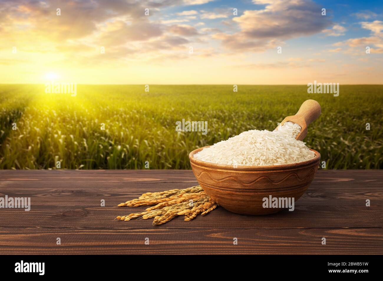 rice on table against the green field Stock Photo - Alamy