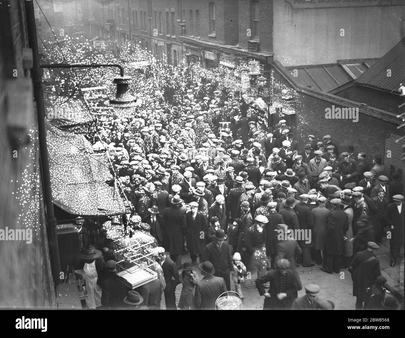 Songbirds many Black and White Stock Photos & Images - Alamy
