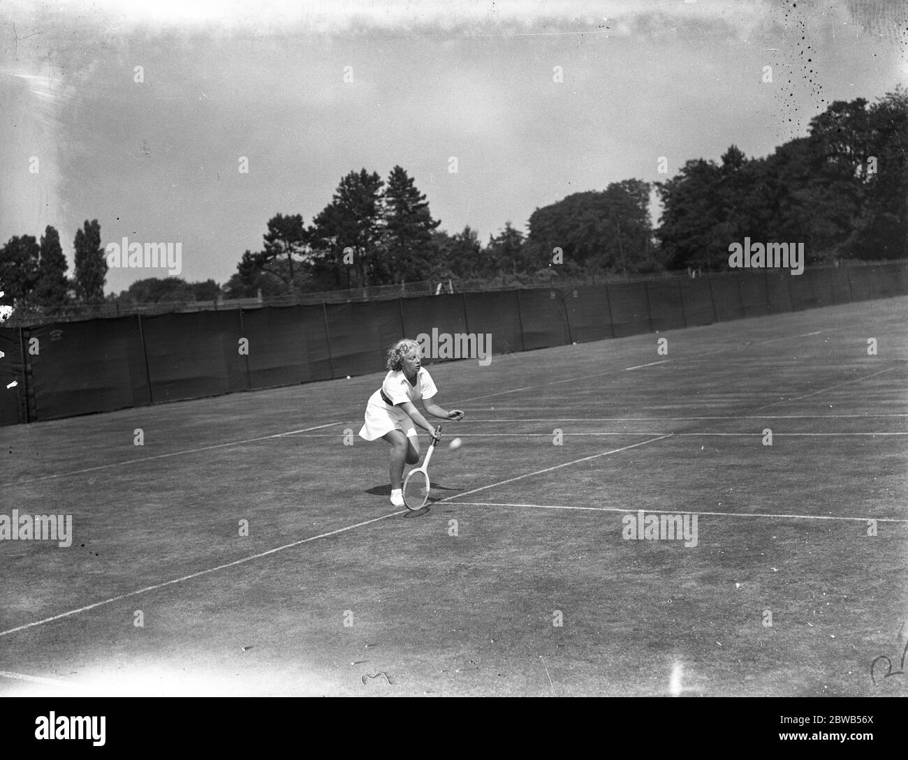 Miss primrose Black and White Stock Photos & Images - Alamy