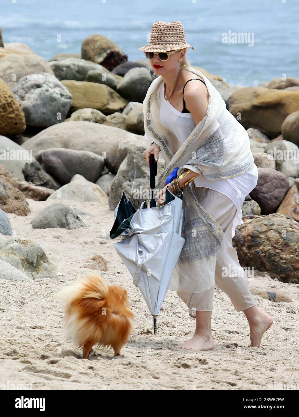 Gwen Stefani wearing hat, walking on beach with pet dog and her boys ...