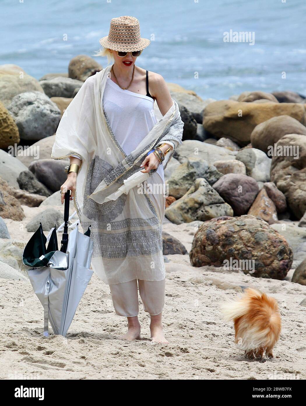 Gwen Stefani wearing hat, walking on beach with pet dog and her boys ...