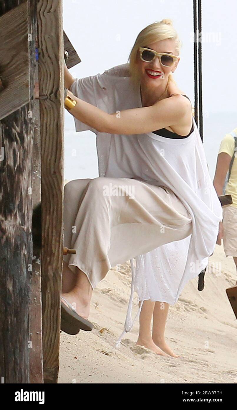 Gwen Stefani wearing hat, walking on beach with pet dog and her boys ...
