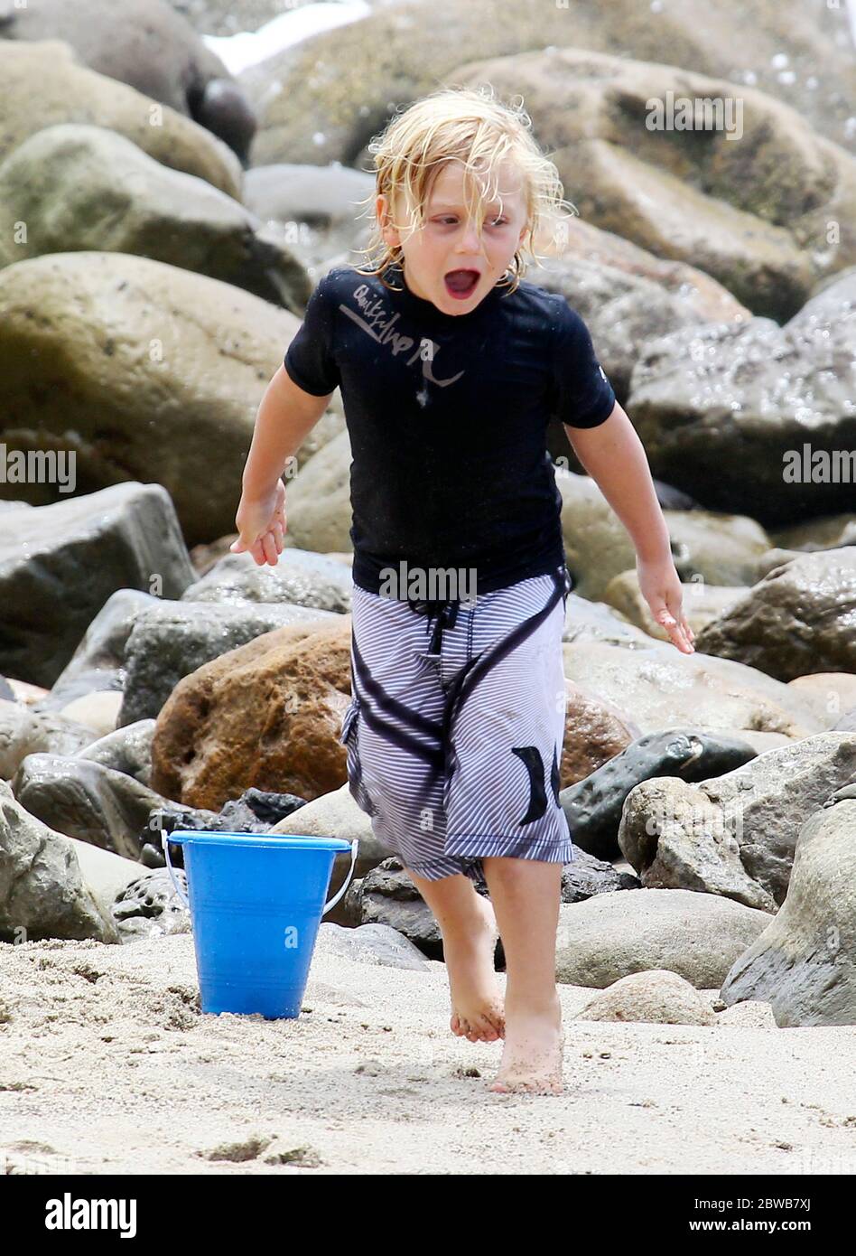 Gwen Stefani wearing hat, walking on beach with pet dog and her boys ...