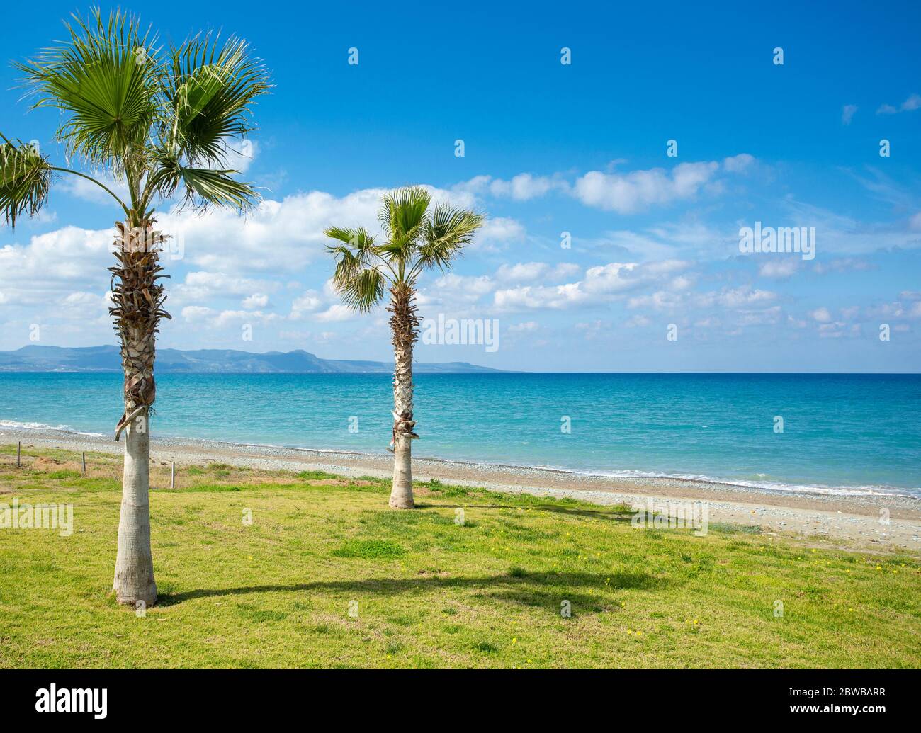 Palm trees cyprus hi-res stock photography and images - Alamy