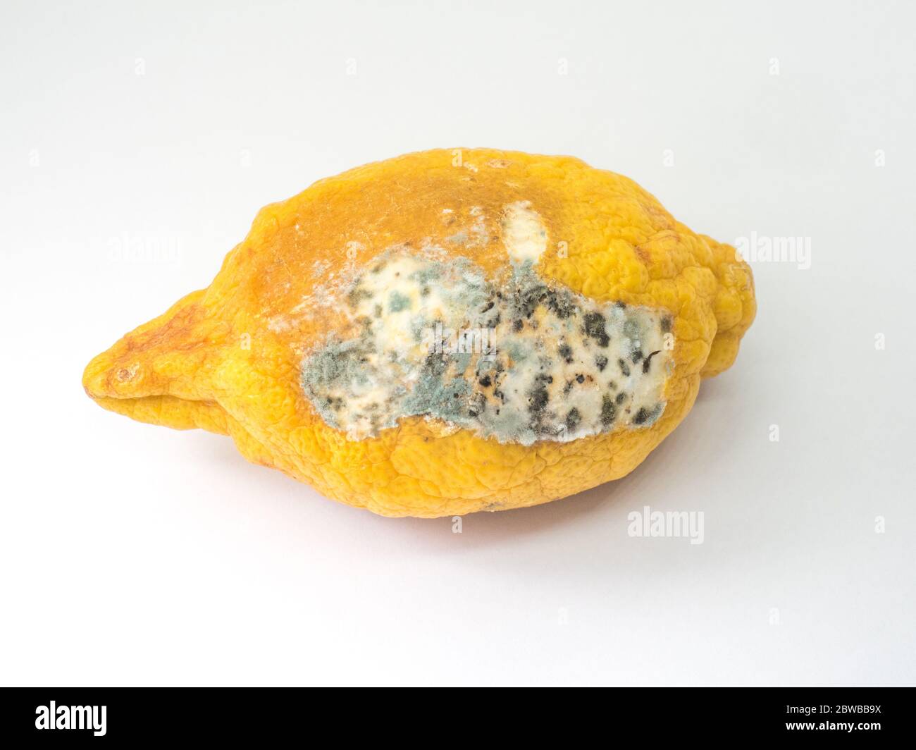 Rotten lemon on white background Stock Photo - Alamy
