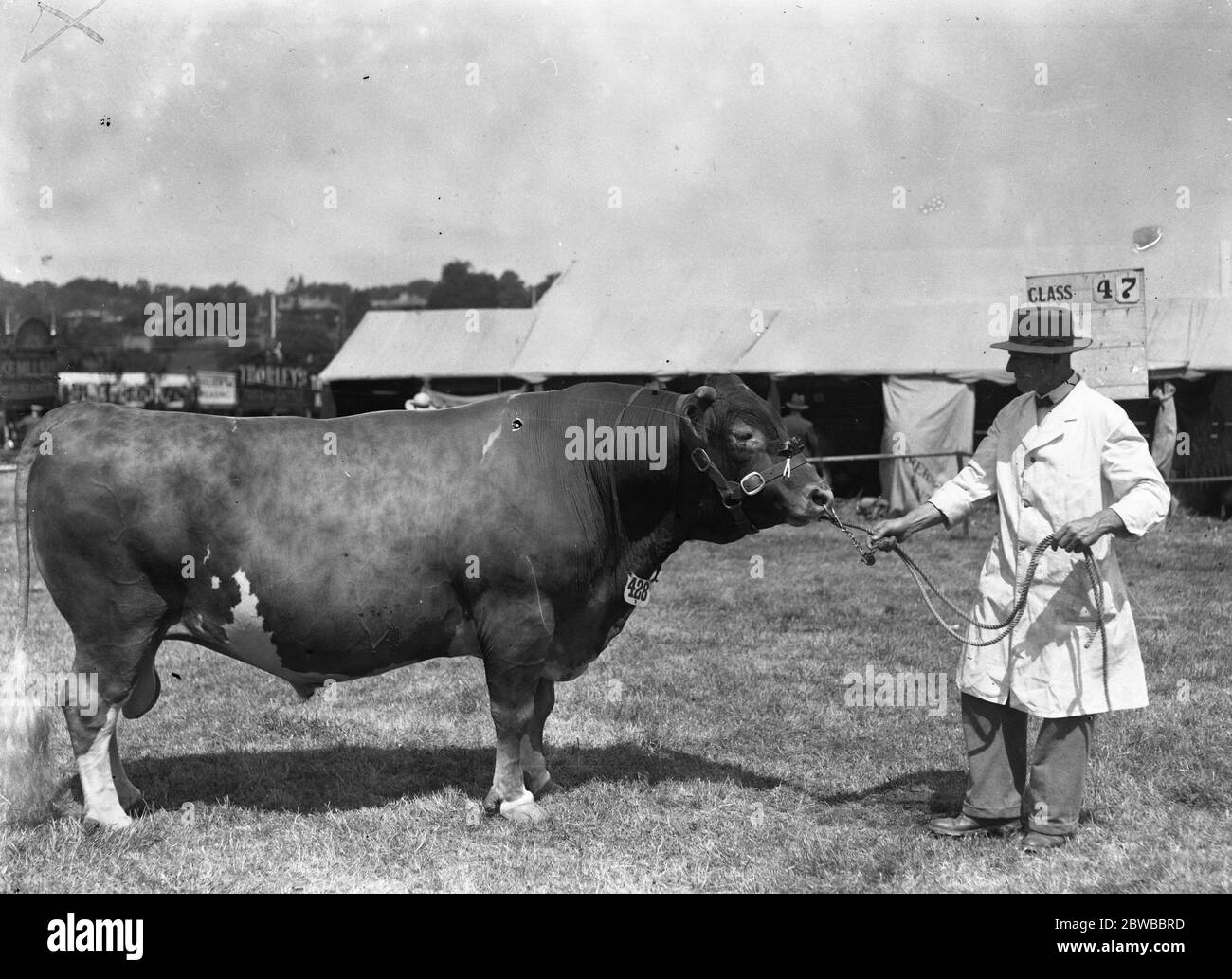 Tunbridge Wells and South Eastern Counties Show Sir Gordon Ley ' s ...