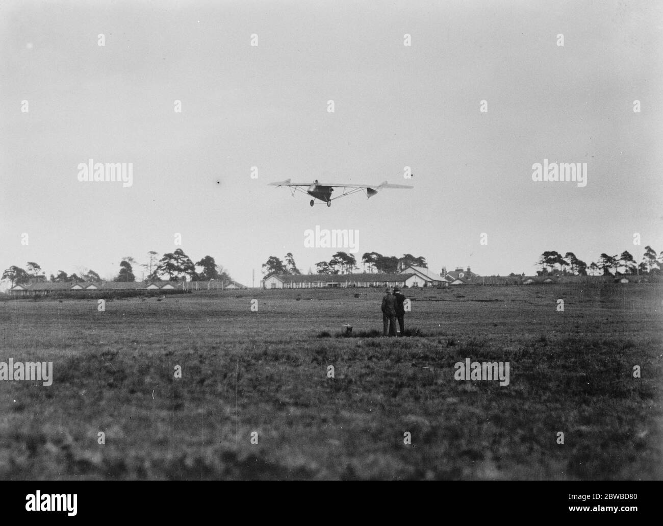 Tail less hi-res stock photography and images - Alamy