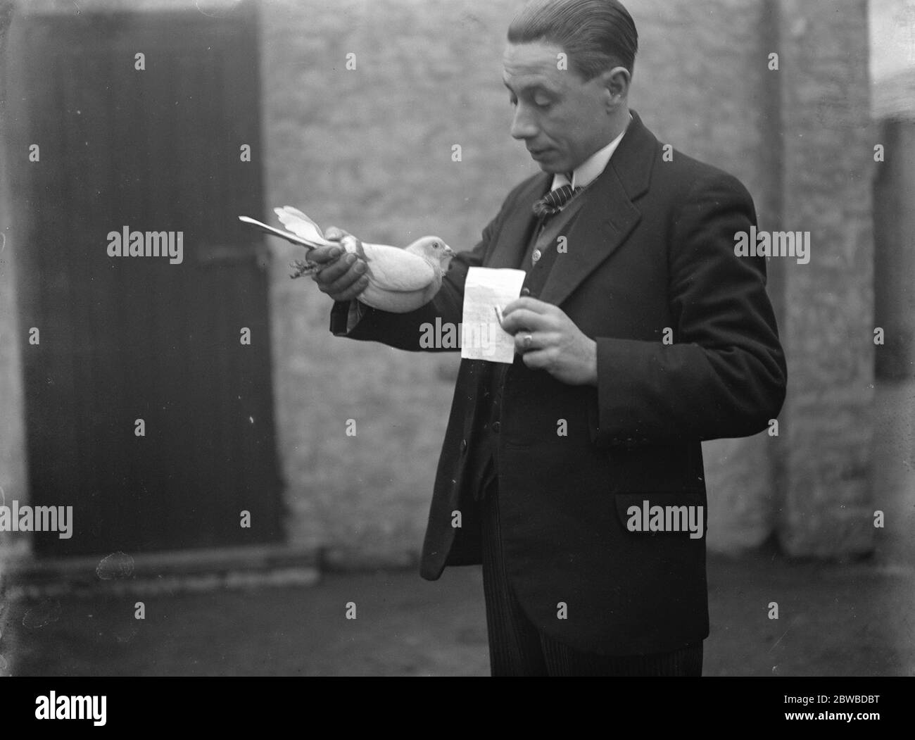 The first bird home with Queen Alexandra ' s message . Mr Edgar Rickard ...