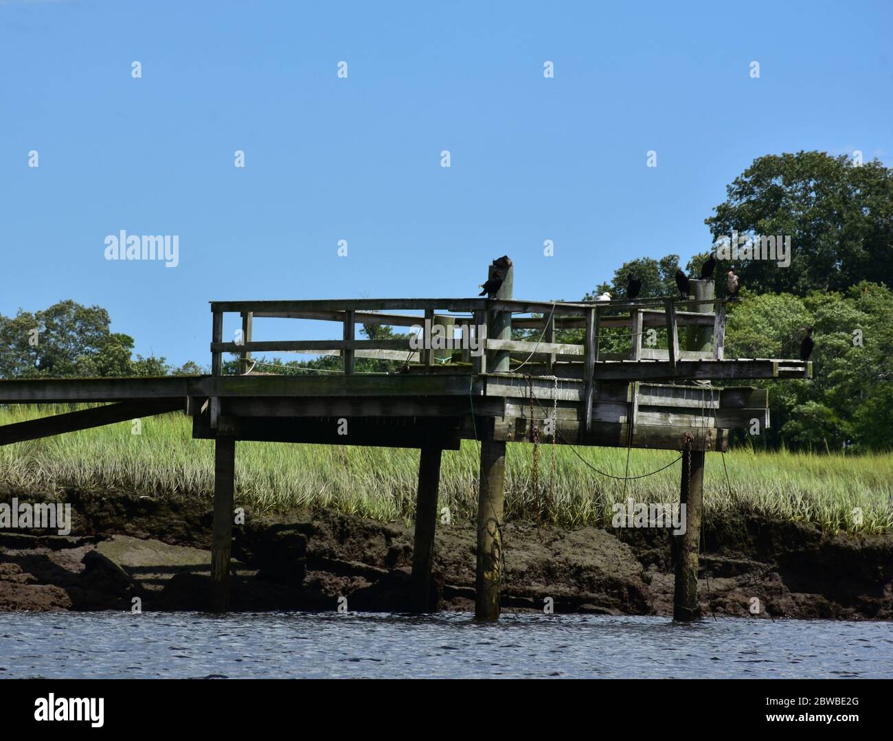 Scenic landscape with a fishing pier over a marsh Stock Photo - Alamy