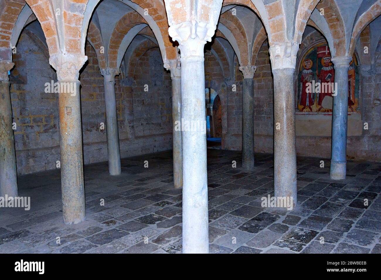 Romanesque crypt, columns, Basilica di San Pietro, Tuscania, Province ...