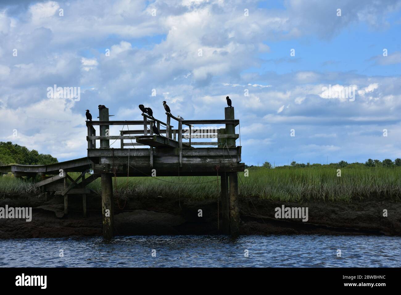 Beautiful scenic dock with large birds over marshland Stock Photo - Alamy